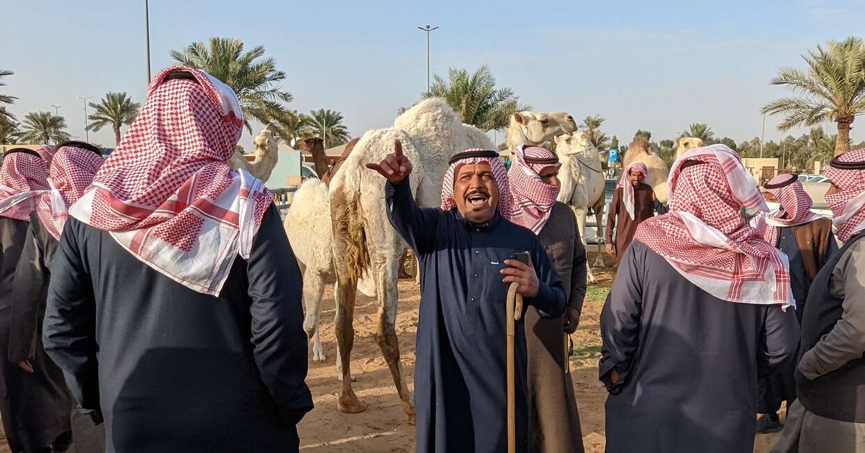 Explore the Kingdom of Saudi Arabia