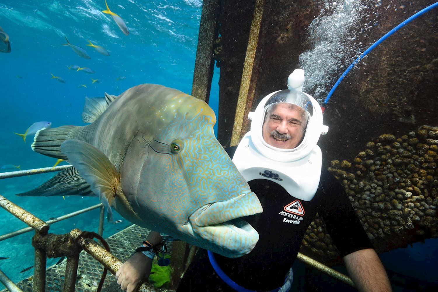 Reef Magic Pontoon + Intro Dive