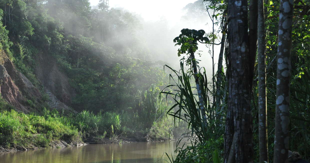 Peru Amazon Extension